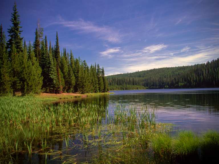 Top 10 Hikes and Walks in Umatilla National Forest | Komoot