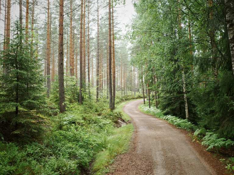 The best walks and hikes around Lake Bodom | Komoot