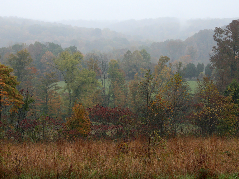 Top 5 Most Beautiful Road Biking Routes in Hoosier National Forest | Komoot