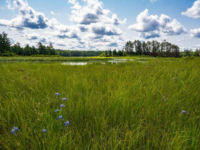 Top 10 Hikes and Walks in Chequamegon-Nicolet National Forest | Komoot