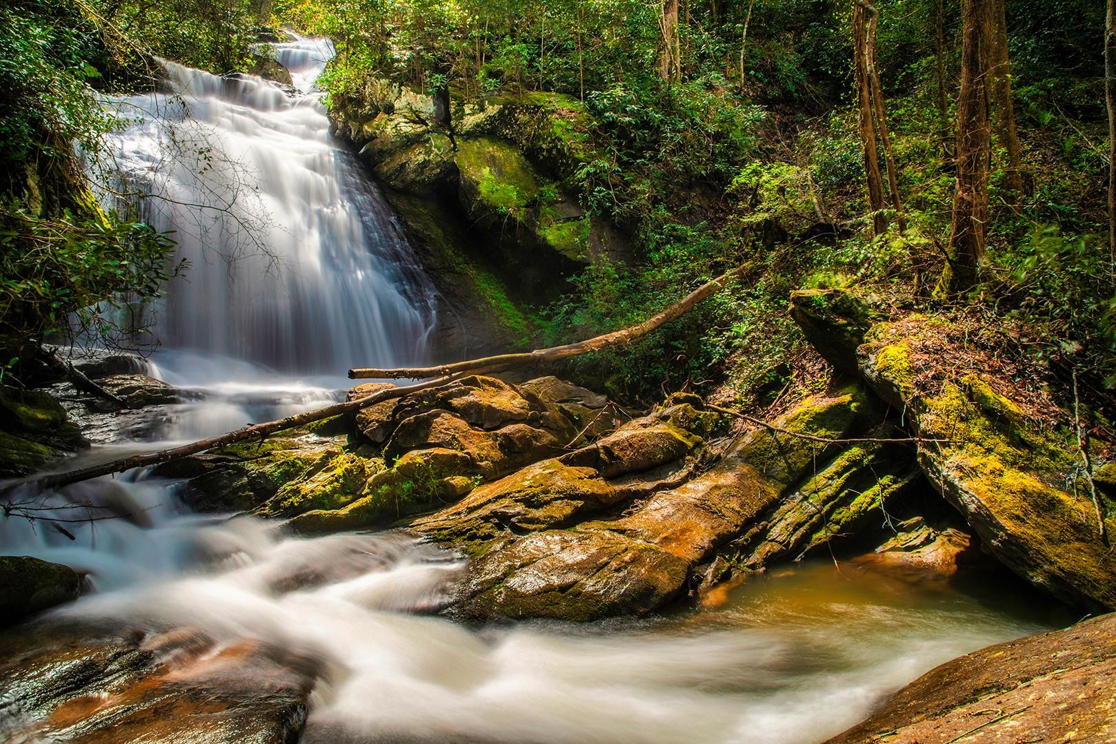 Top 9 Hikes and Walks in Francis Marion And Sumter National Forests ...