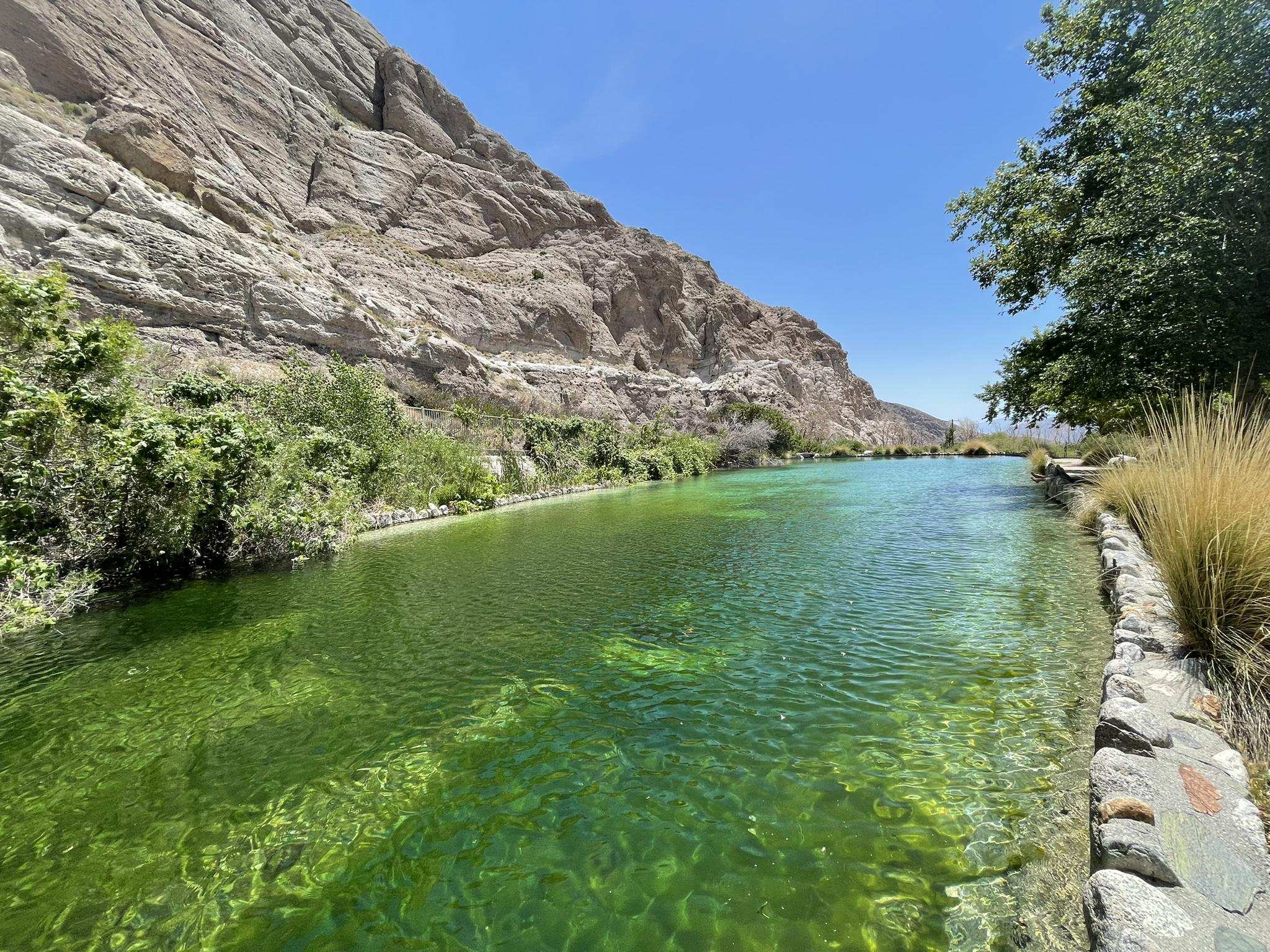 Top 12 Hikes and Walks in Sand To Snow National Monument | Komoot