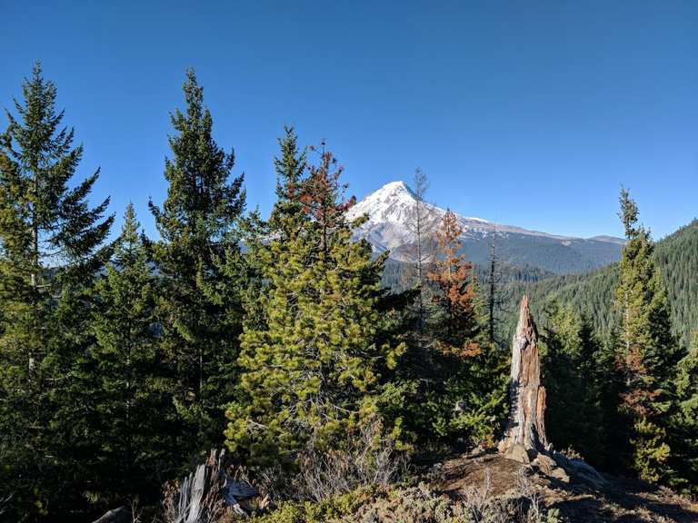 Top 10 Hikes and Walks in Mount Hood National Recreation Area | Komoot