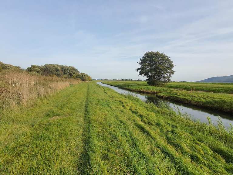 Die 9 schönsten Laufstrecken rund um die Talsperre Kelbra 🏃 | Komoot