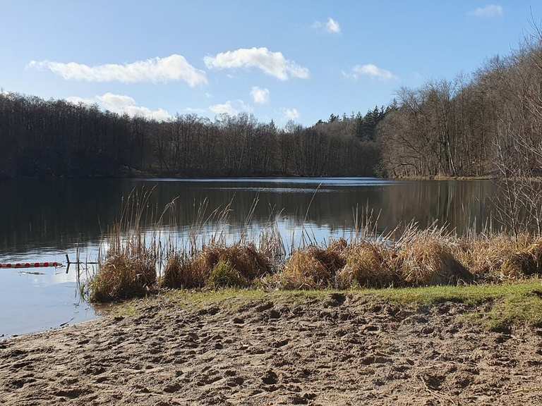 Die 10 schönsten Wanderungen rund um den Krummsee | Komoot