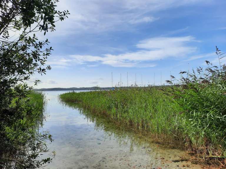 Die 10 schönsten Wanderungen rund um den Selenter See | Komoot