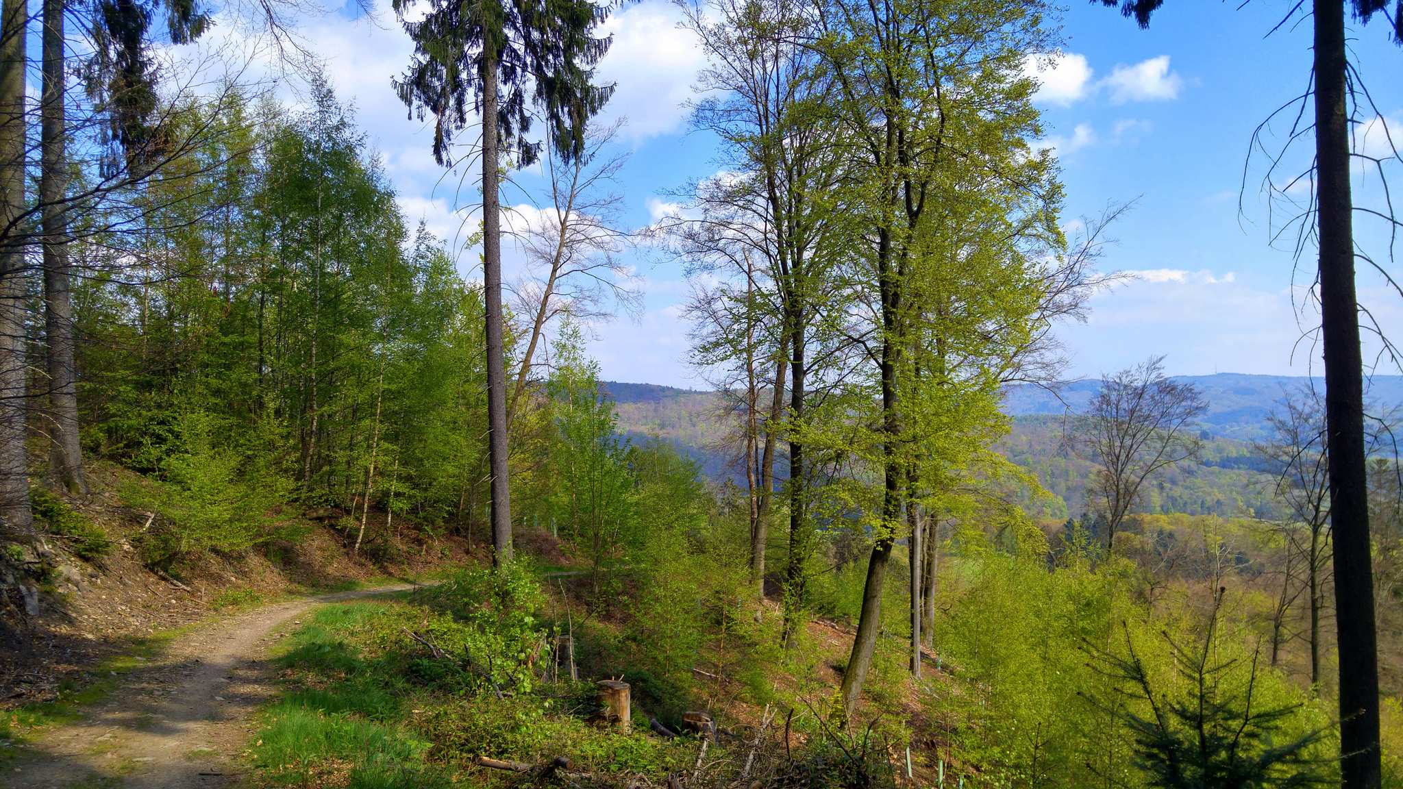Die 20 schönsten Wanderungen im Odenwald | Komoot