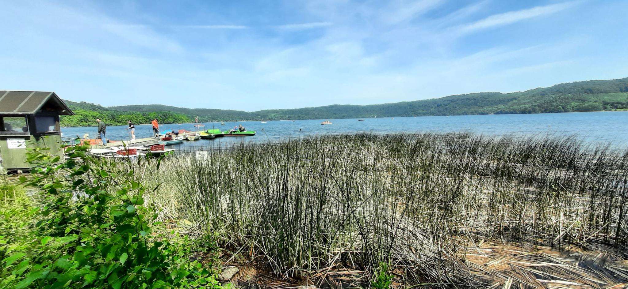 Die 10 schönsten Wanderungen rund um den Laacher See | Komoot