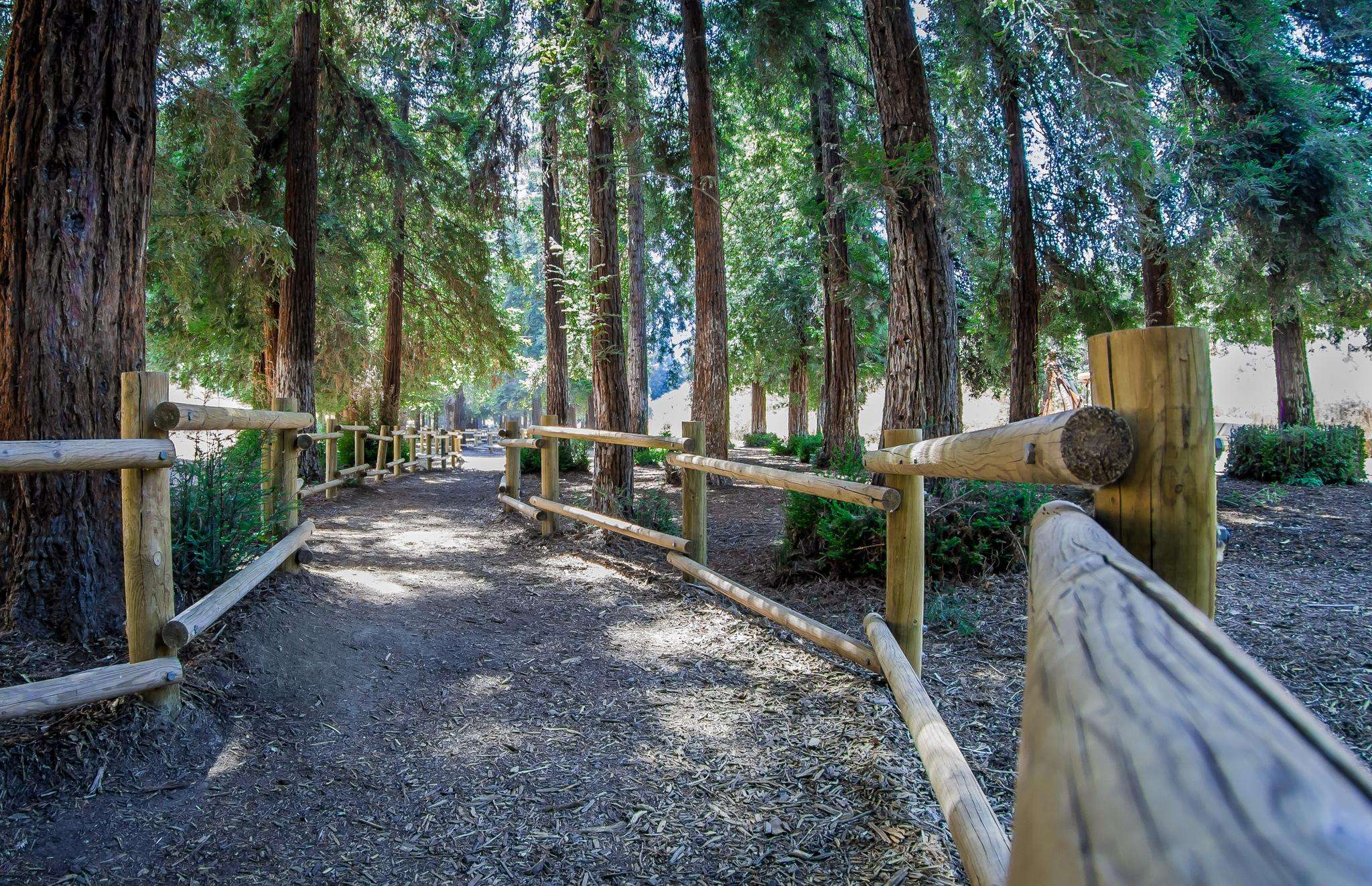 Top 10 Hikes and Walks around Fullerton | Komoot