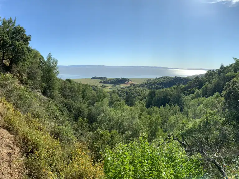 Top 10 Hikes and Walks around San Rafael | Komoot