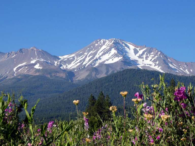 Top 10 randonnées et balades autour de Mount Shasta | Komoot