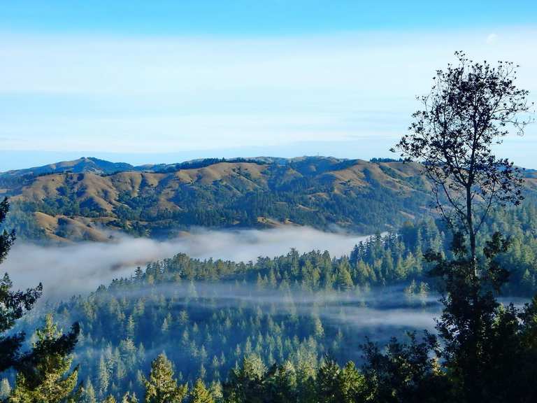 The Best Walks And Hikes Around San Anselmo Komoot