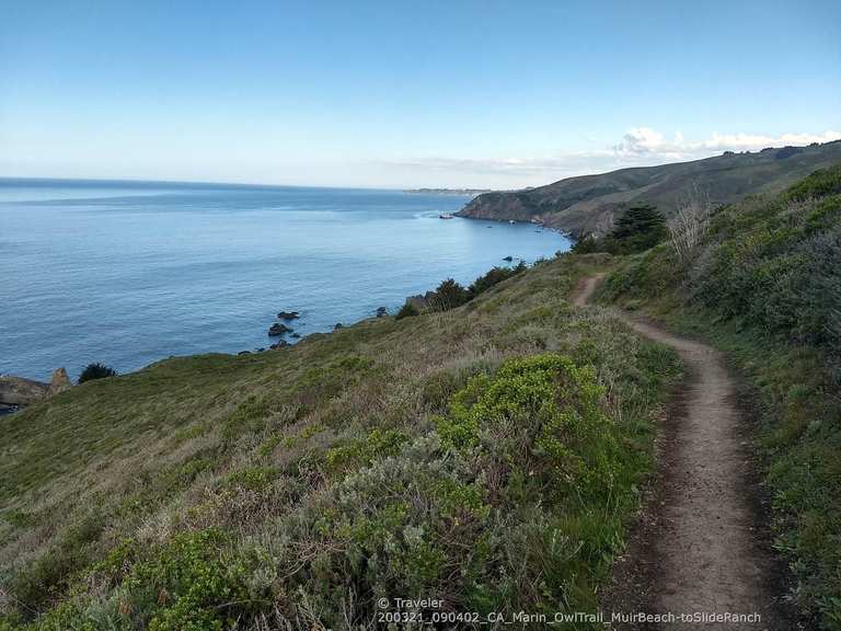 The best walks and hikes around Mill Valley | Komoot