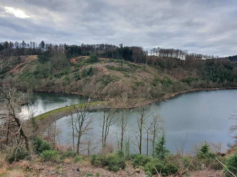 Die 10 schönsten Wanderungen rund um die Sengbachtalsperre | Komoot