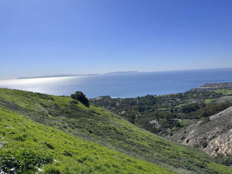 Top 9 Most Beautiful MTB Trails around Torrance | Komoot