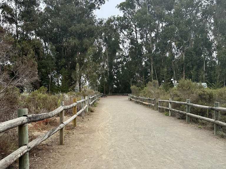 The best running trails around Pismo Beach | Komoot