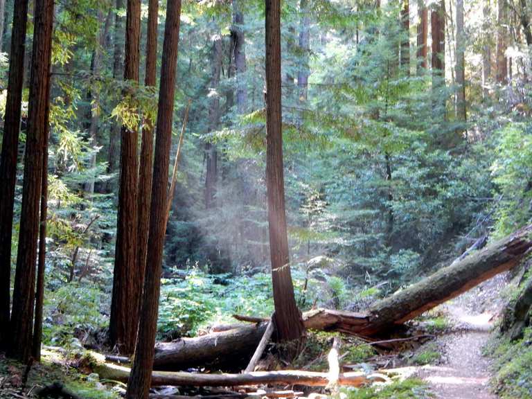 Top 15 Hikes and Walks around Bonny Doon | Komoot