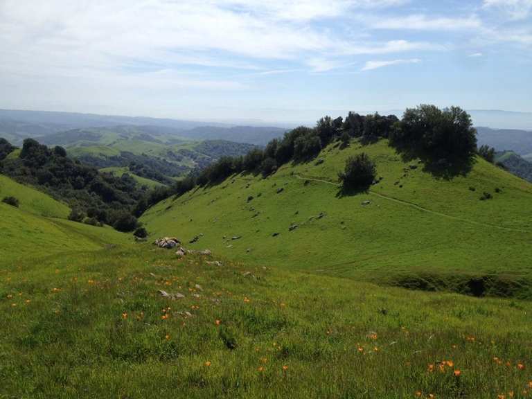 The best walks and hikes around Castro Valley | Komoot