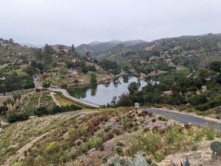 Top 10 Most Beautiful Road Biking Routes around Fallbrook | Komoot