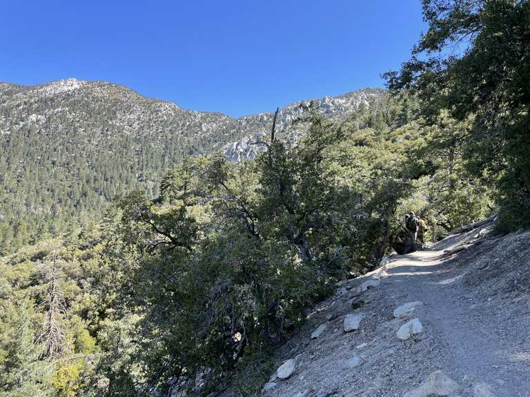 Die 11 schönsten Wanderungen rund um Idyllwild-Pine Cove | Komoot