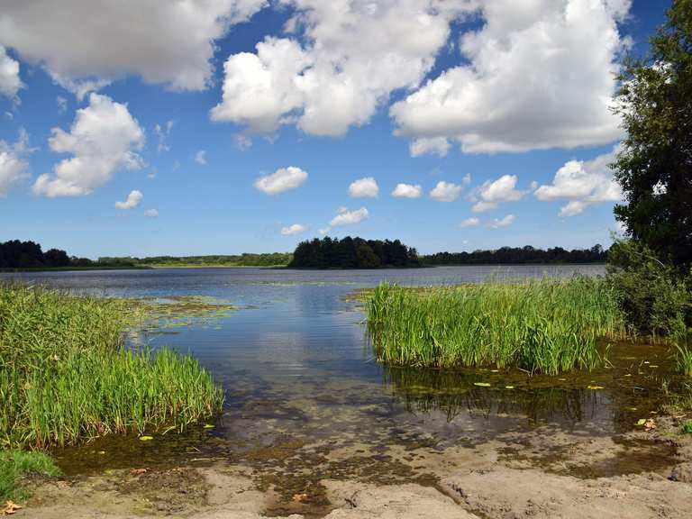 Die 10 schönsten Wanderungen rund um den Pütter See | Komoot