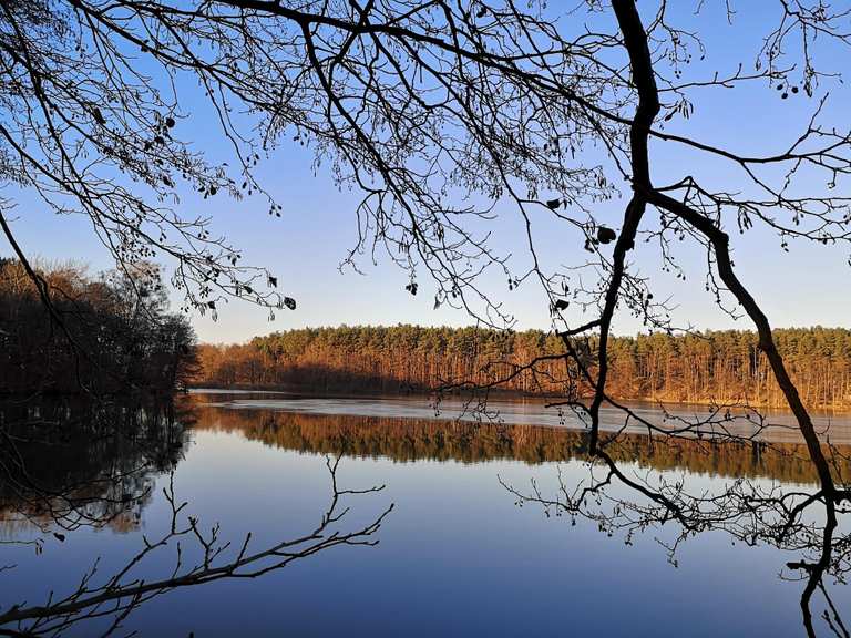 Die 6 schönsten Laufstrecken rund ums Naturschutzgebiet Roter See 🏃 ...