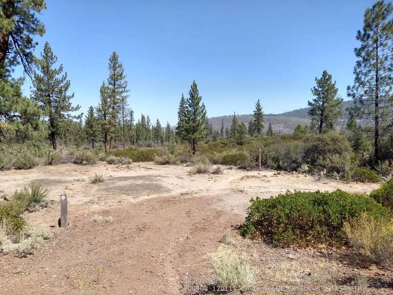 Top 5 Hikes and Walks around Old Station | Komoot