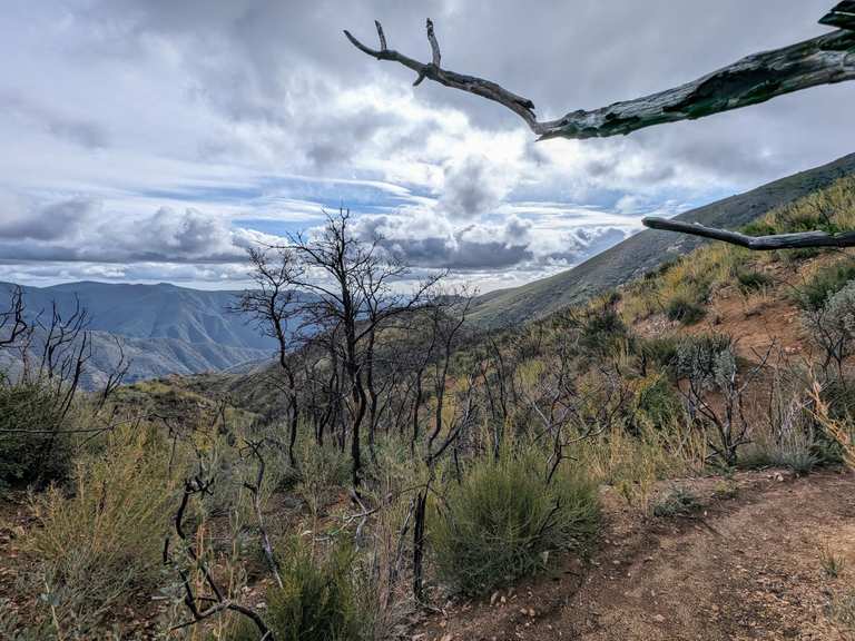 Top 10 Hikes and Walks around Temescal Valley | Komoot