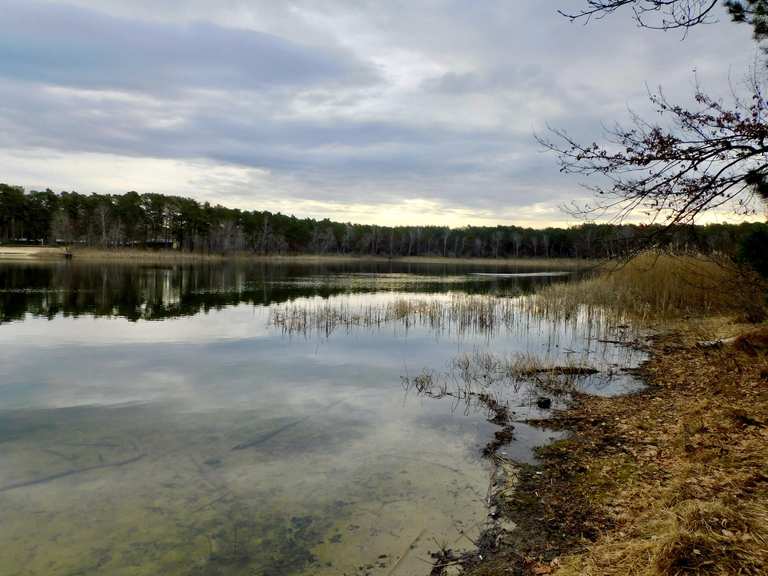 Die 10 schönsten Wanderungen rund um den Frauensee | Komoot
