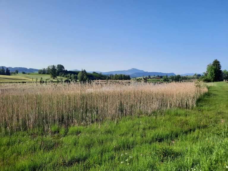 Die schönsten Wanderungen rund um den Sulzberger See | Komoot