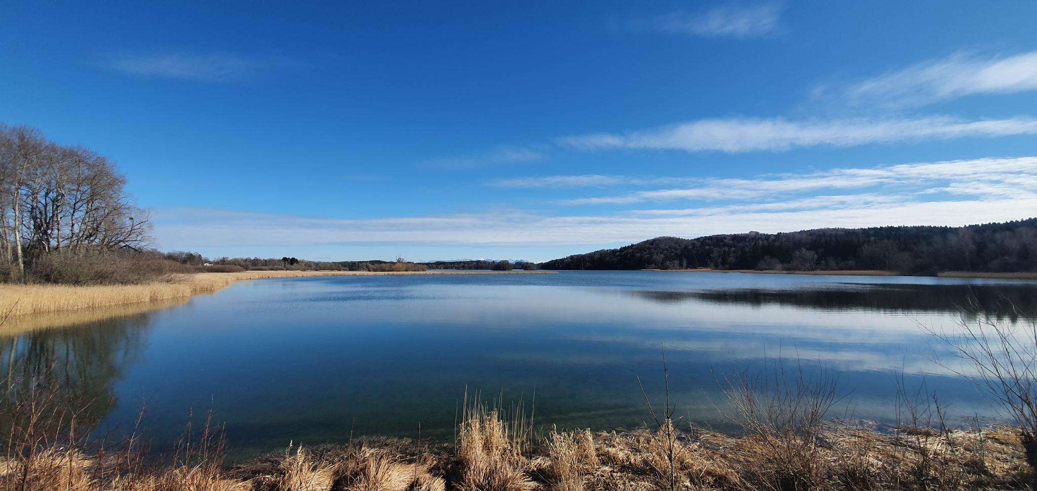 Die 10 schönsten Wanderungen rund um den Seehamer See | Komoot