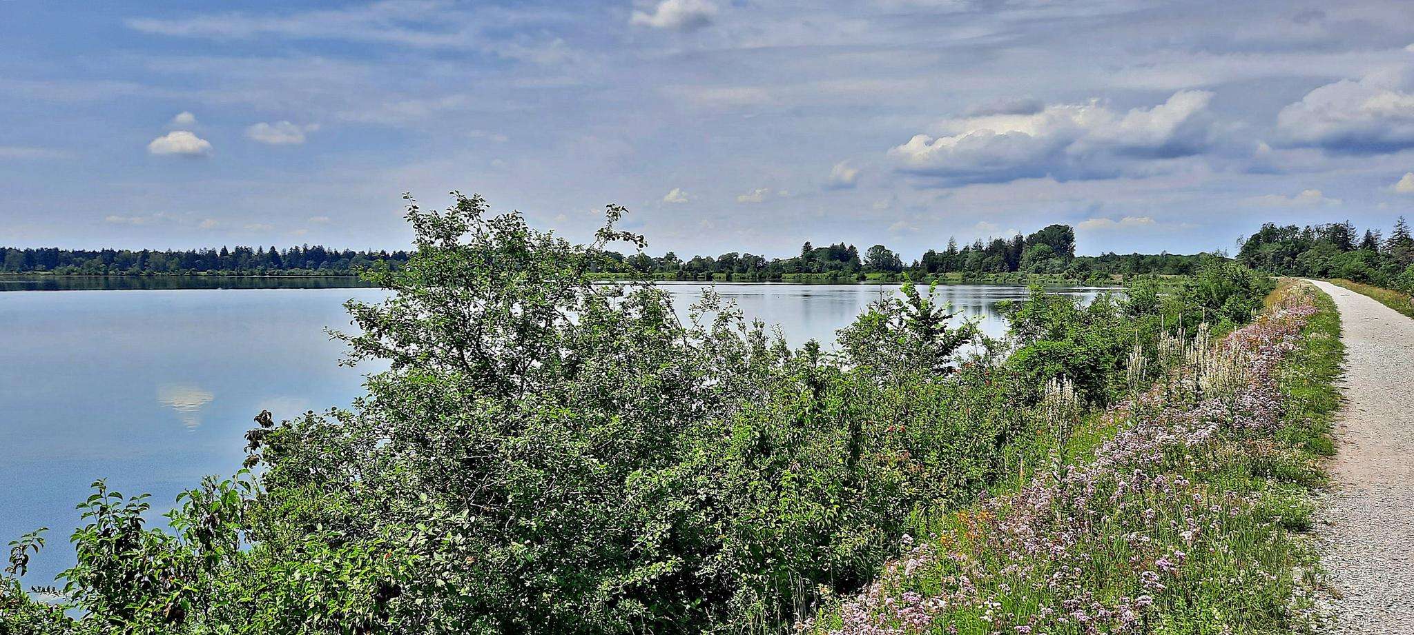 Die 10 schönsten Wanderungen rund um den Mandichosee | Komoot