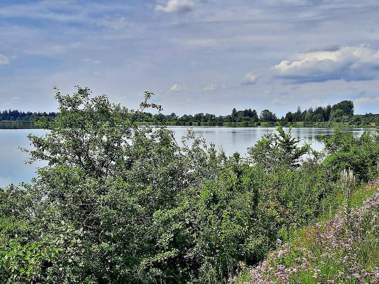 Die schönsten Wanderungen rund um den Mandichosee | Komoot