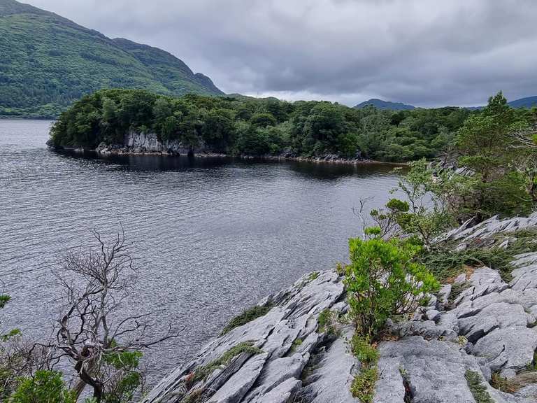 Top 9 Bike Rides and Cycling Routes around Muckross Lake | Komoot