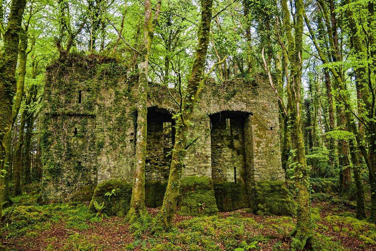 Top 14 Hikes and Walks around Lough Mask | Komoot