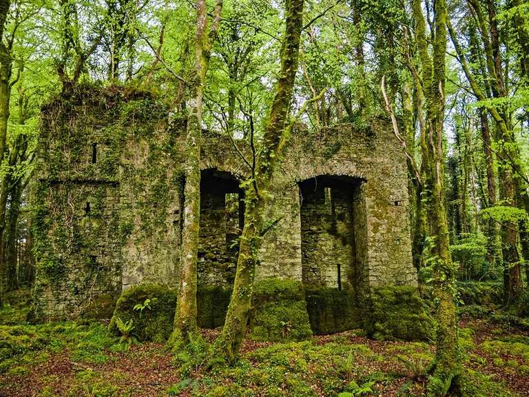 Top 8 Hikes and Walks around Lough Mask | Komoot