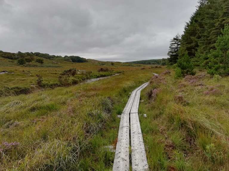 Top 10 Hikes and Walks around Lough Corrib | Komoot