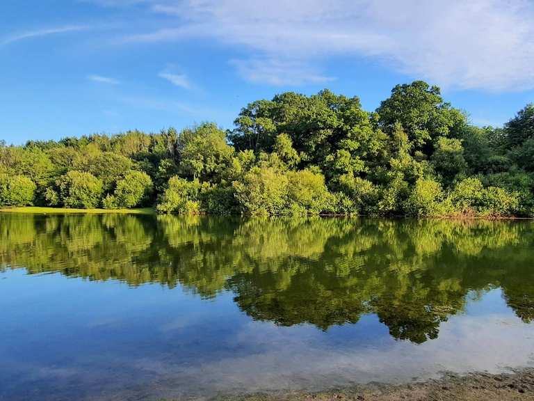 Top 10 Hikes and Walks around Bewl Water | Komoot