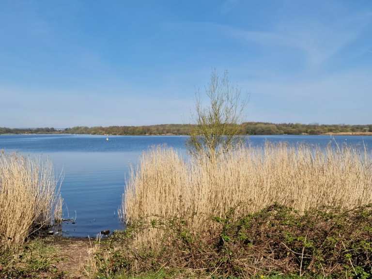 Top 10 Bike Rides and Cycling Routes around Pennington Flash | Komoot