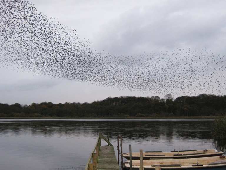 Top 10 Hikes and Walks around Aqualate Mere | Komoot