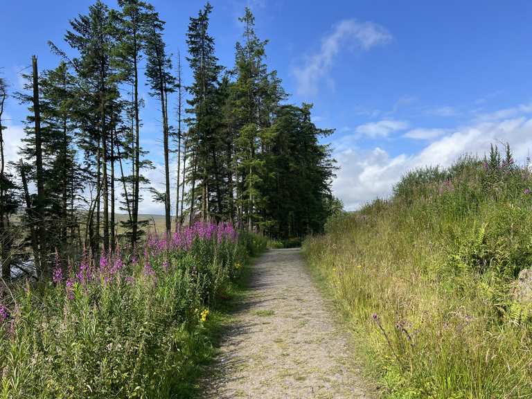 Top 10 Hikes and Walks around Burnhope Reservoir | Komoot