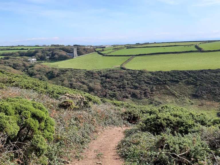 Top 10 Hikes and Walks around Upper Tamar Lake | Komoot