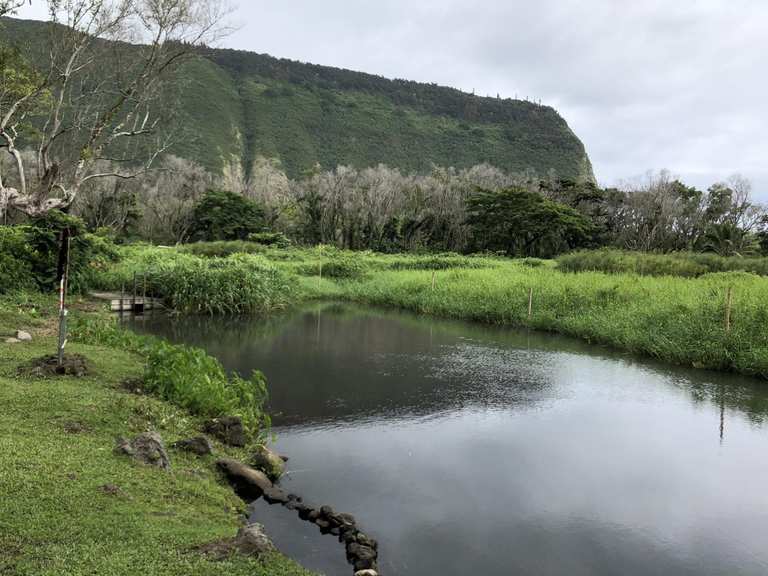 Top 7 Most Beautiful Road Biking Routes around Waimea | Komoot