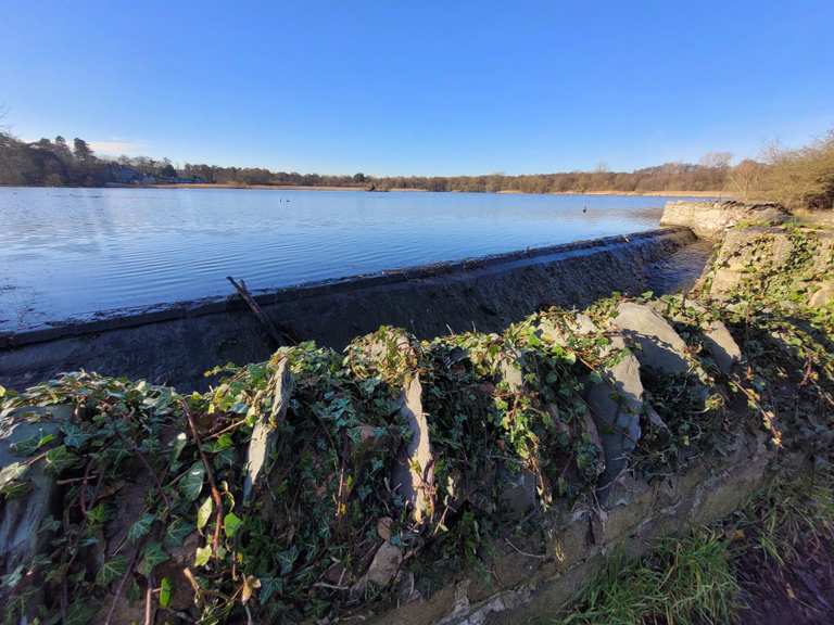 Top 10 Hikes and Walks around Groby Pool | Komoot