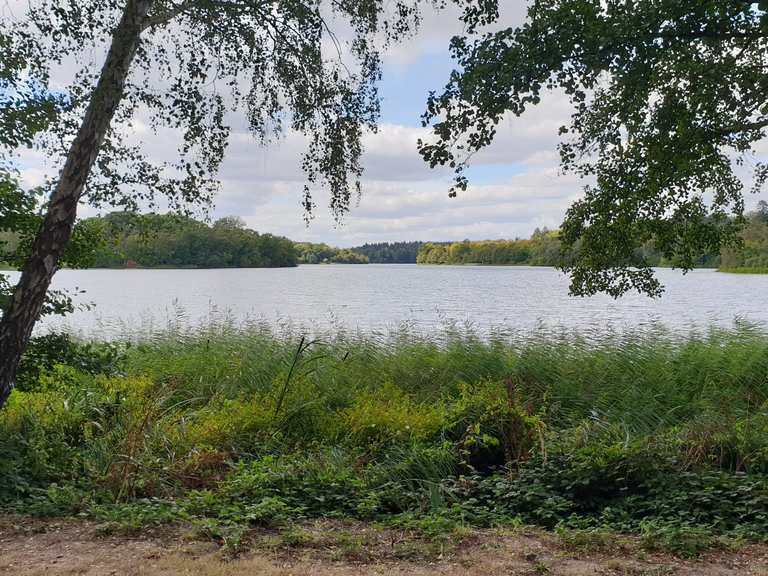 Top 10 Hikes and Walks around Wraysbury Reservoir | Komoot