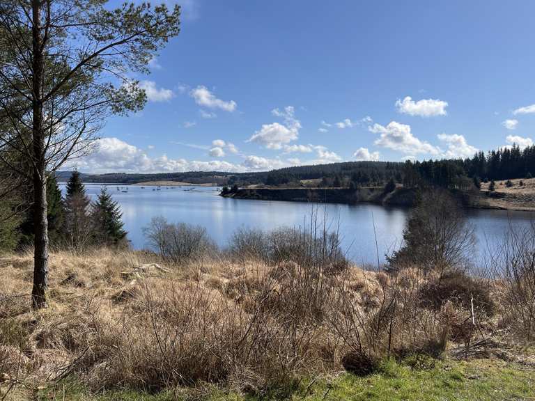 Top 9 Bike Rides and Cycling Routes around Kielder Water | Komoot