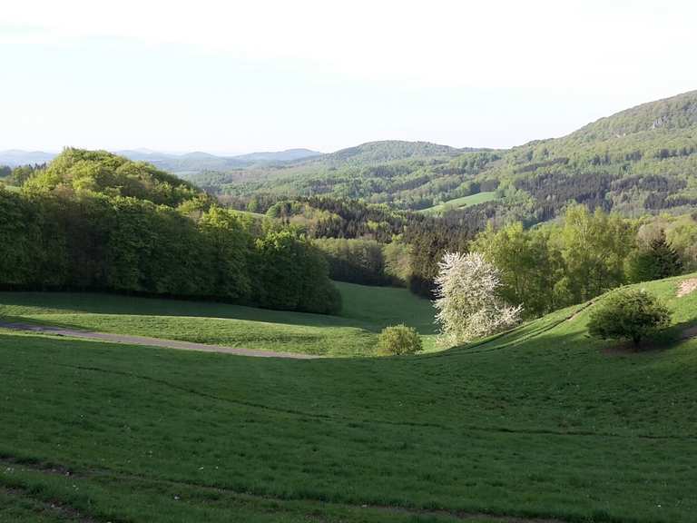 Die 10 schönsten Wanderungen rund um Dipperz | Komoot