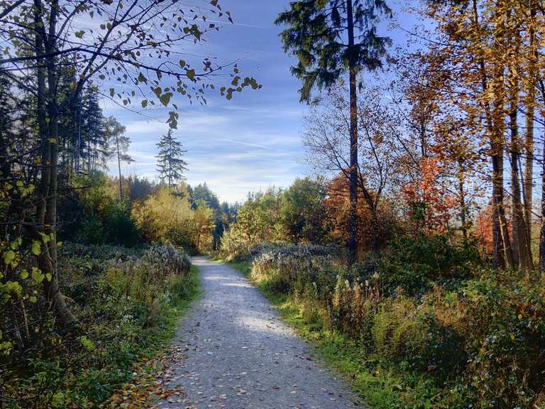 Die 10 schönsten Wanderungen rund um die Aubinger Lohe | Komoot