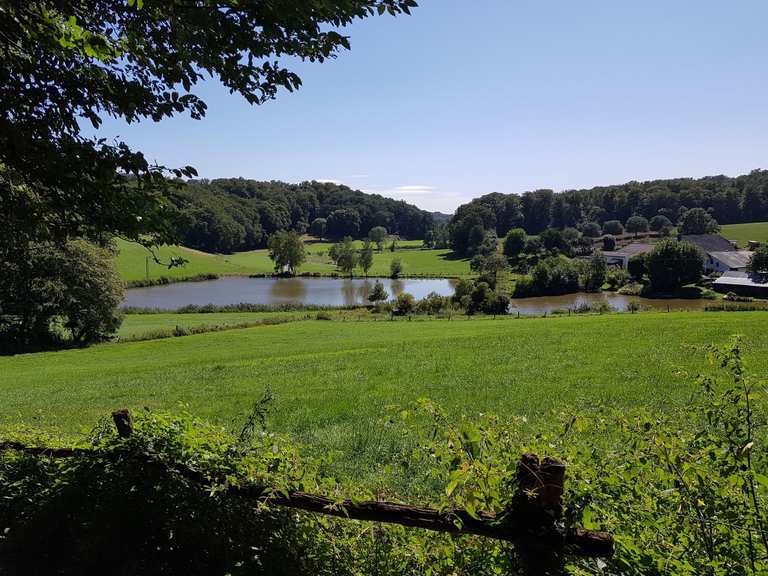 Die 10 schönsten Wanderungen rund um den Grafenberger Wald | Komoot