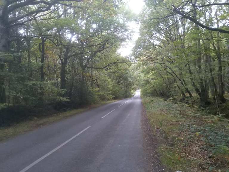 Top 10 Bike Rides and Cycling Routes around Pamber Forest | Komoot
